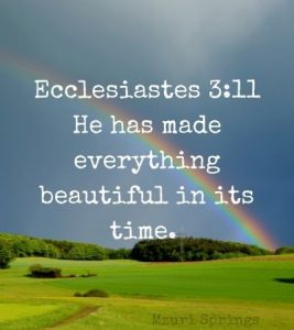 27 Bible Verses about God's Plan and Timing- Mzuri Springs