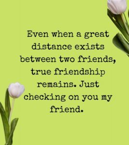 50 Just Checking up on You Text Messages 2025 - Mzuri Springs