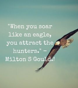 42 Soaring with Eagles Quotes 2026 - Mzuri Springs