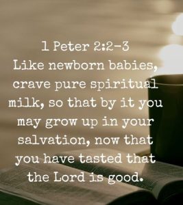 16 Bible Verse about Growth and Maturity 2025 - Mzuri Springs