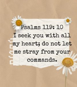 20 Verses about Going Deeper with God 2025 - Mzuri Springs